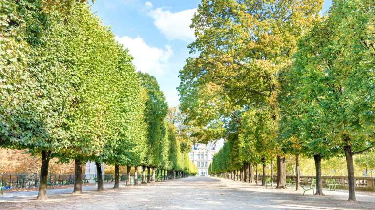 The 10 best Paris parks and gardens to visit - Paris Teachers Club